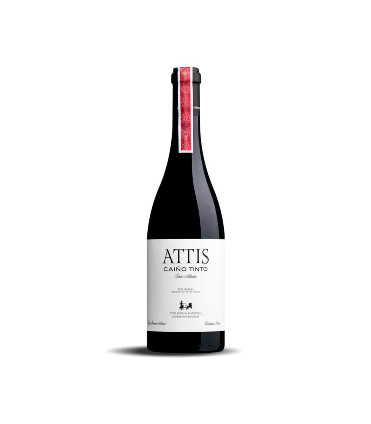 Buy Attis Caiño Tinto | ENBOTELLA